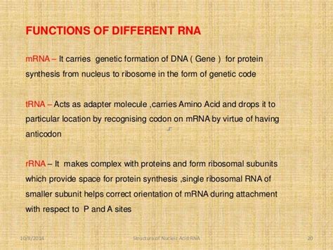 Structure Types And Function Of Rna
