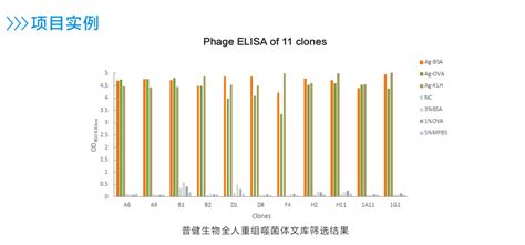 噬菌体展示技术应用于抗体药物研发的关键步骤和技术经验 知乎