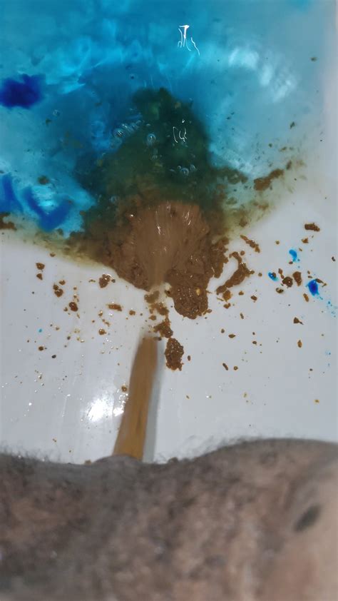 Morning Poop Video 125