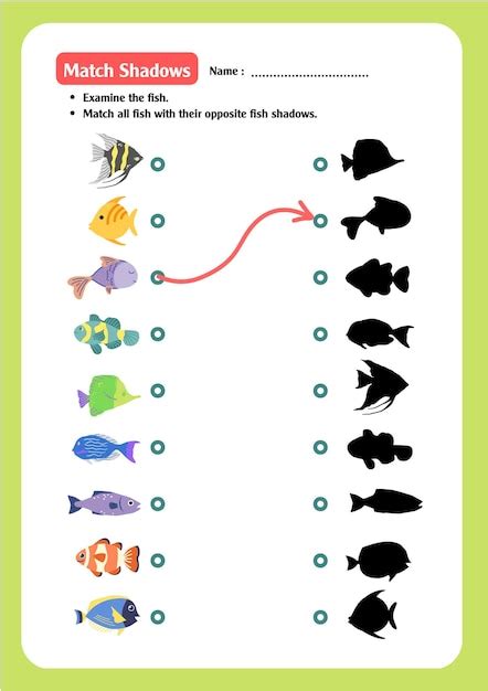 Premium Vector Shadow Matching