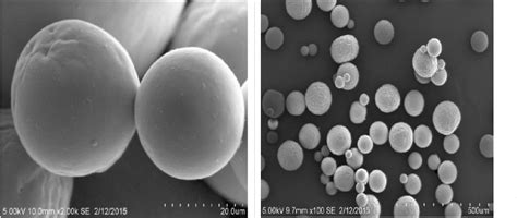 Figure 1 From Formulation And In Vitro In Vivo Evaluation Of Novel