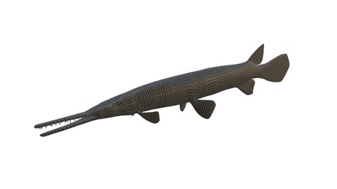 Gharial Reptiles 3d Model Superhive Formerly Blender Market