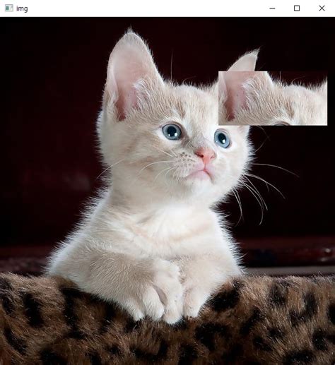 Opencv 이미지 처리 1 Dev Learning Note Opencv 이미지 처리 1 Dev Learning Note