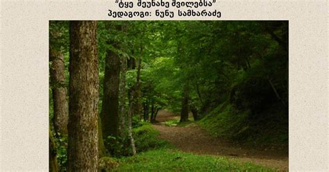 ღია გაკვეთილი ტყე შეუნახე შვილებსა ~ სკოლა მზეკაბანი