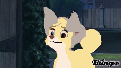 Scamp X Angel Pup Picture Blingee Com