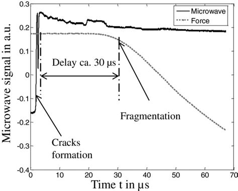 The Fragmentation Of The Specimen Download Scientific Diagram