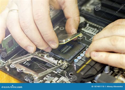 Installation Of Computer Processor In The Socket Stock Photo Image Of Element Computer