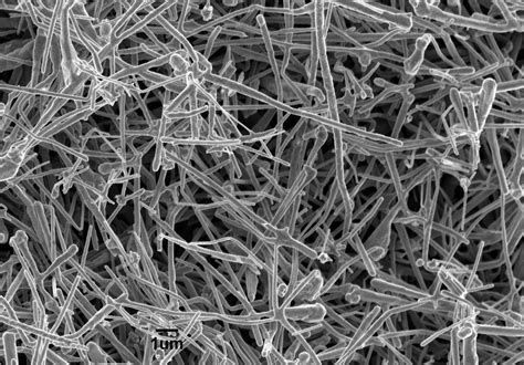 Copper Nanowires B1 150nm×5um
