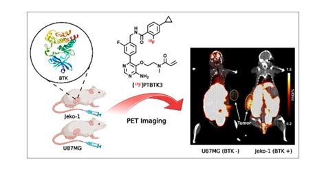 Gagan Kukreja On Linkedin Synthesis And Preclinical Evaluation Of A Novel Fluorine 18 Labeled