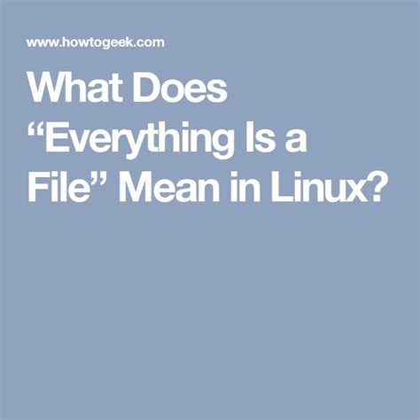 What Does Everything Is A File” Mean In Linux Linux Everything Filing