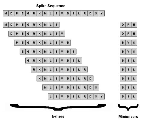 Example Of K Mers And Minimizers In A Spike Sequence Mdpegrkmlsvbslrdsy Download Scientific