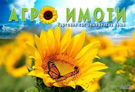 Купувам ниви в цялата страна Купува имоти София Купувам ниви в цялата страна Високи ц