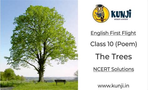 The Trees Poem Class 10 English Chapter 7 Summary Explanation