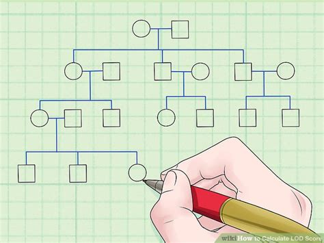 How To Calculate Lod Score 11 Steps With Pictures Wikihow