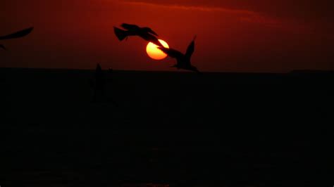 Jack Baruth Doesnt Know Hes A Photographer