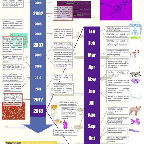 Two Component Crispr Cas9 System For Genome Editing Download Scientific Diagram