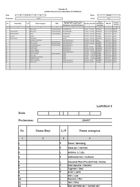 Laporan Kelahiran 2023 Pdf