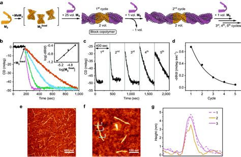 Supramolecular Block Copolymers A Schematic Illustration Of The Download Scientific Diagram