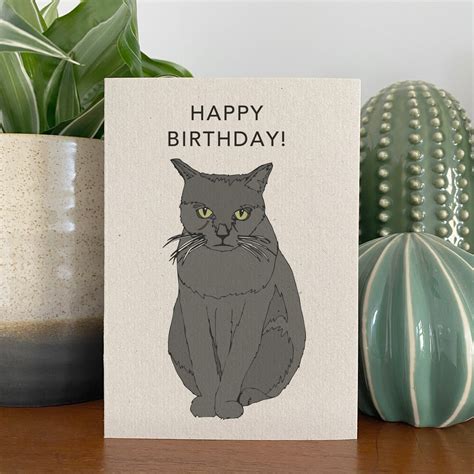 Happy Birthday Cat Card Katebroughton