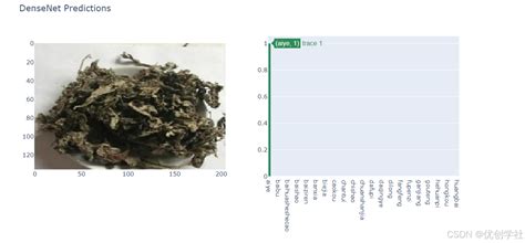 基于深度学习densenet121模型中药智能识别系统（源代码lw环境配置说明文档数据集）中药饮片智能识别系统 Csdn博客
