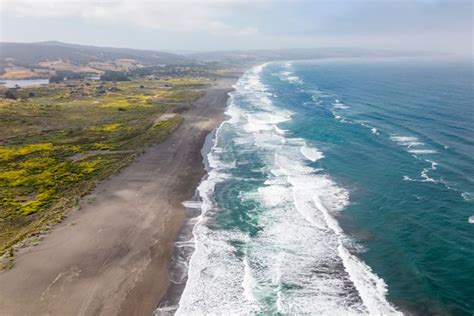 Cijanobakterijama Prochlorococcus Preti Pomor Zbog Vrelih Okeana Nauka Telegraf