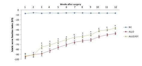 line graph showing sciatic nerve function index values in each