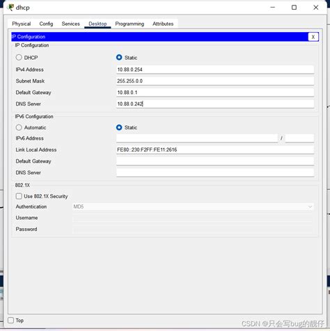 简单vlan划分和dhcp中继（cisco packet tracer模拟） cisco packer tracer dhcp配置 csdn博客