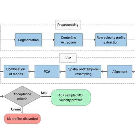 Schematic Representation Of The Adopted Workflow All 4d Flow
