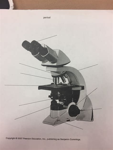 Microbio Microscope Diagram Quizlet