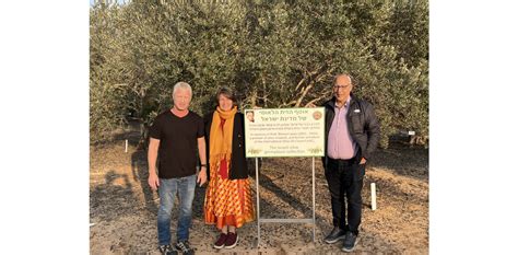 Visit To The Israeli Olive Germplasm Collection International Olive Council