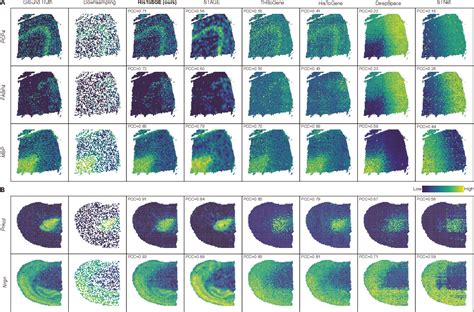 High Resolution Spatial Transcriptomics From Histology Images Using Histosge