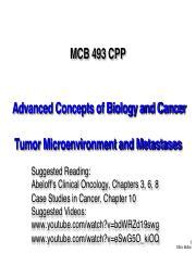 Understanding Tumor Microenvironment And Metastasis Course Hero