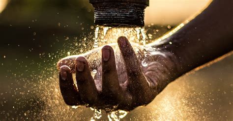 Cómo Hacer Un Sistema De Captación De Agua De Lluvia En Casa Guía Paso A Paso Infobae