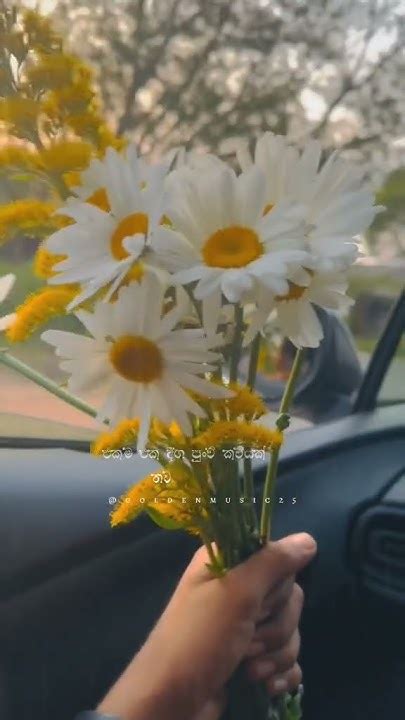 ලියූ කවිපද දහක් අතරේ 😌🥰 Youtube