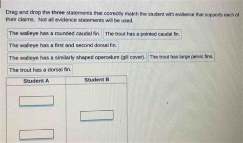 Solved Drag And Drop The Three Statements That Correctly Match The