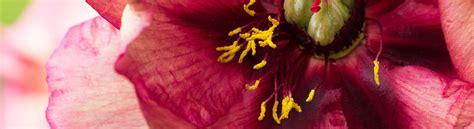 Tcm Praxis Tcm Praxis Dr Hackl