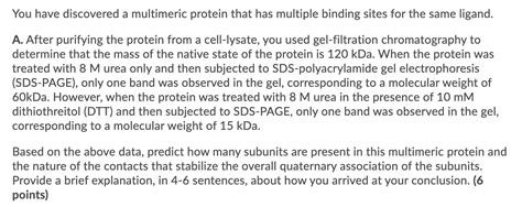 Solved You Have Discovered A Multimeric Protein That Has