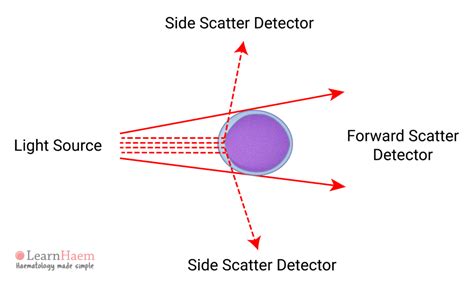 Optical Scattering Formula At Erik Cox Blog