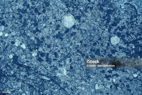 빈티지 파란색 배경입니다 거친 사파이어 색상의 벽을 그렸다 푸른 색의 불완전 한 비행기입니다 불균일 한 오래 된 장식 톤 시안 색조의 배경 색조의 감촉 관 상용 돌 표면