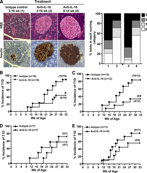 Neutralization Of Il 16 Prevents Destructive Insulitis And Type 1