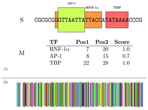 A The Sequence Of A Promoter Is Searched For Occurrences Of Known
