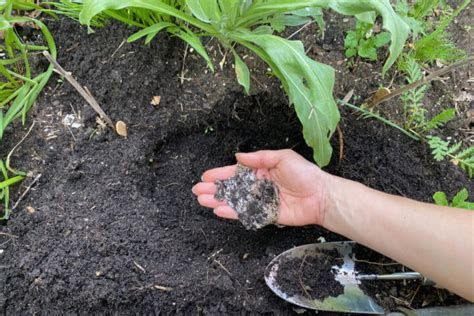 Does Your Soil Pass The Underwear Test