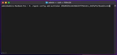 Ngrok Tiện ích cho việc truy cập website trong quá trình phát triển
