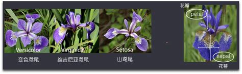 机器学习的相关概念与建模流程 Csdn博客