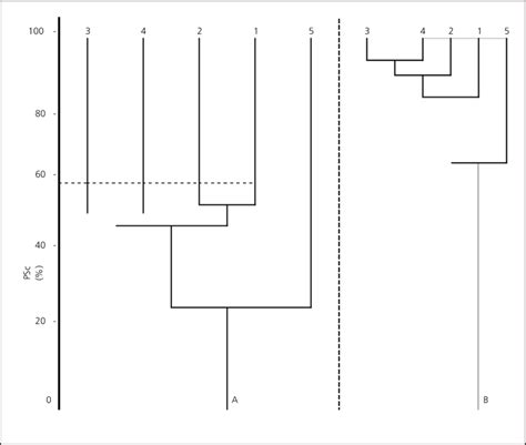 Aquatic Macrophyte Similarity Dendrogram Psc In Infernão Lake A