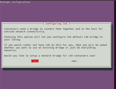 How To Install Lxclxd For Container Management Techdirectarchive
