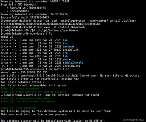 Opengauss（2）：安装部署 单机opengauss安装部署流程 Csdn博客