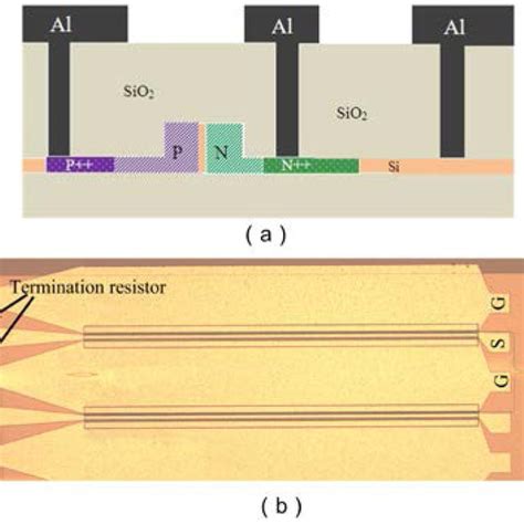 Output Stage Of Cml Mode Driver Download Scientific Diagram Output Stage Of Cml Mode Driver Download Scientific Diagram