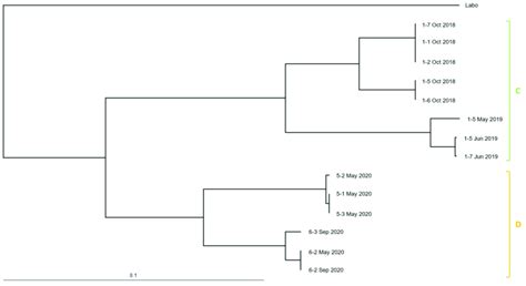 Dendrogram Obtained Using Upgma Unweighted Pair Group Method With Download Scientific Diagram