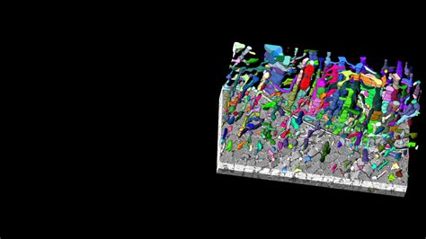 3d Volume Electron Microscopy Explores Mitochondrial And Muscle